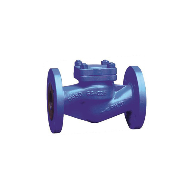 Lifting Check Valve