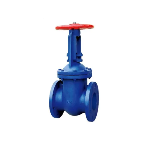 Parallel Double Gate Valve