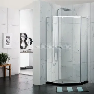 Custom Neo Angle Shower Enclosure