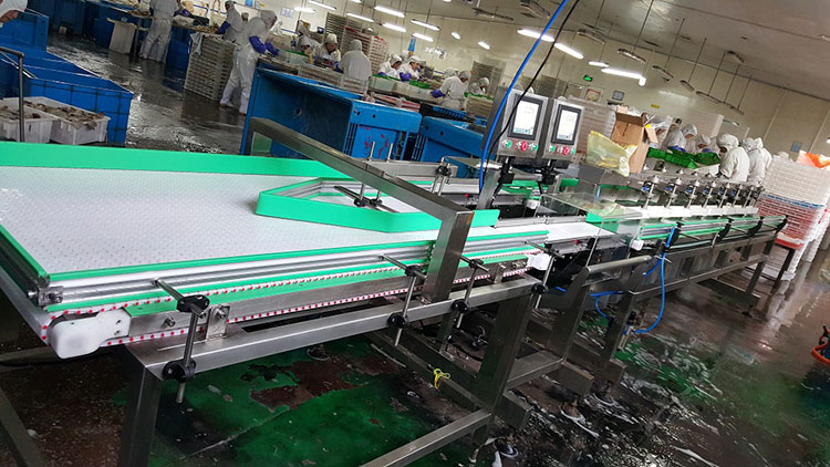 Multistage weight sorting machine