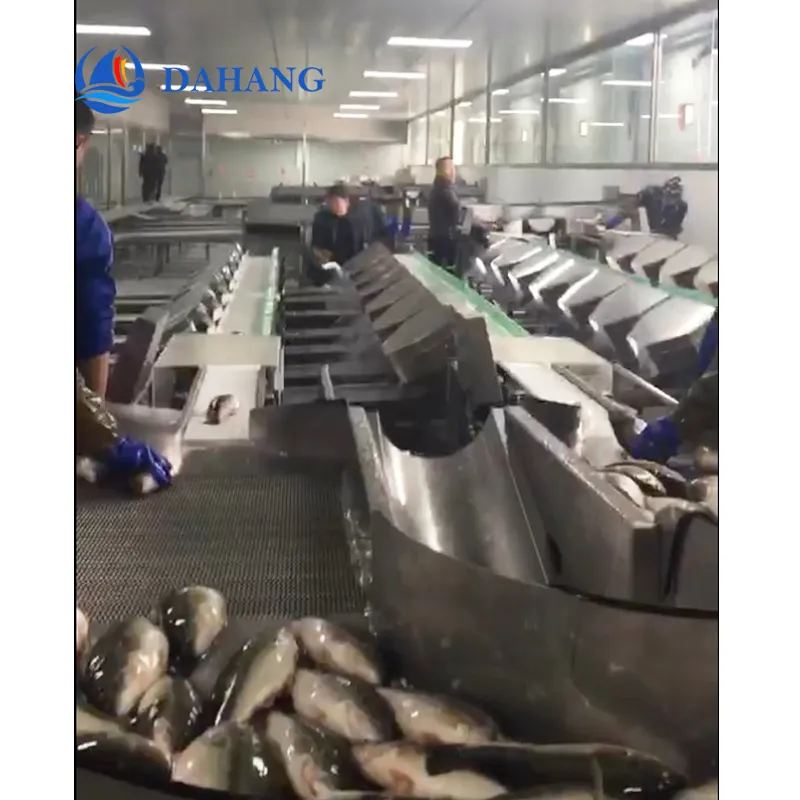 Fish Sorting Machine - Weight Grading/Sorting Machine