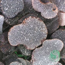 Frozen Truffle, Supplier