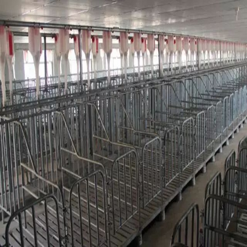 Pig raising equipment