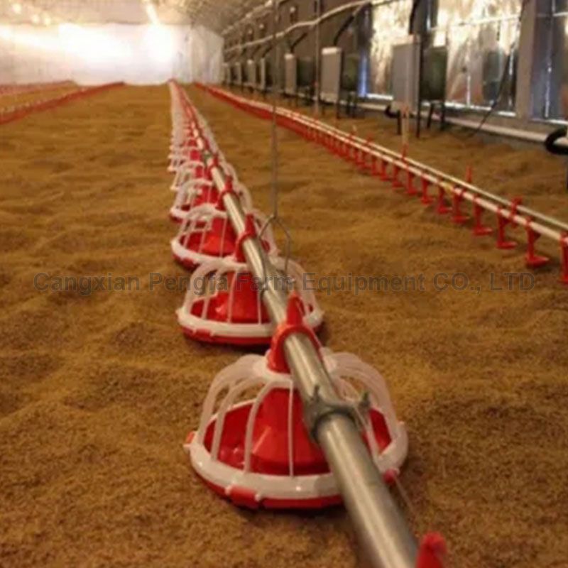 Feeding Pan System Line