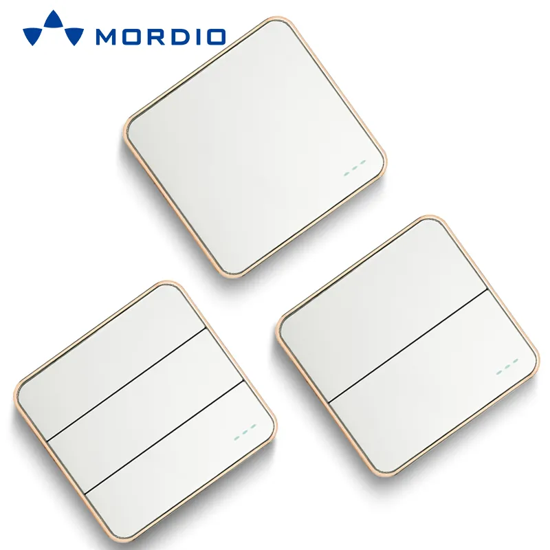 L2 MORDIO golden 2gang 2pin switch socket