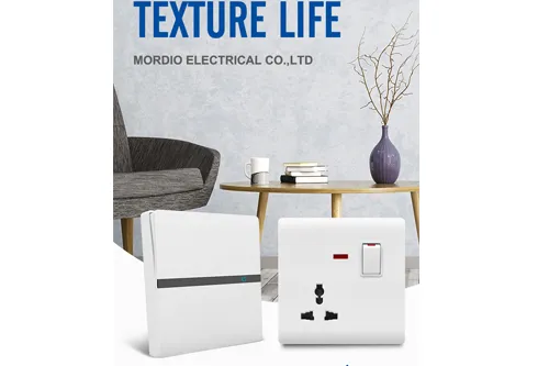 History of the Switch Socket