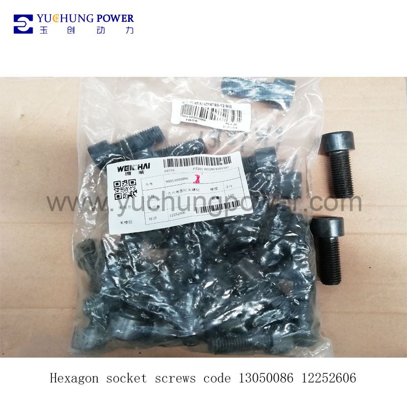 Hexagon socket screws code 13050086 12252606 for TD226B WP6G