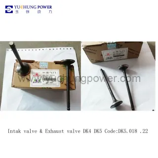 Intake valve Exhaust valve DK4 DK5 Code DK5.018 .22