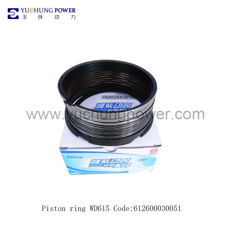 Piston ring WD618 Code 612600030051