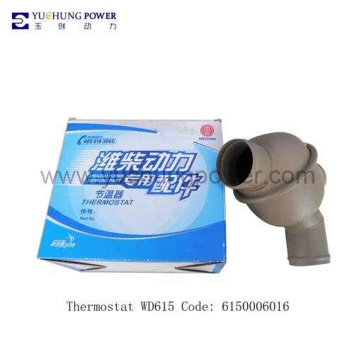 Thermostat complete WD615 Code 6150006016
