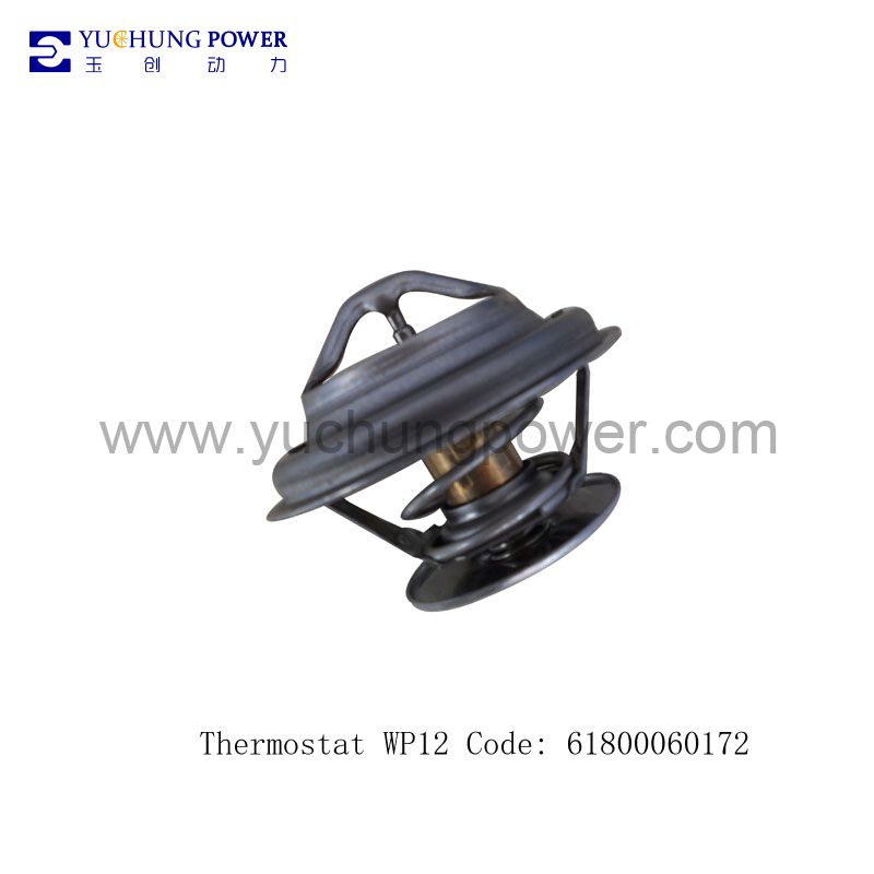 Thermostat WP12 Code 61800060172