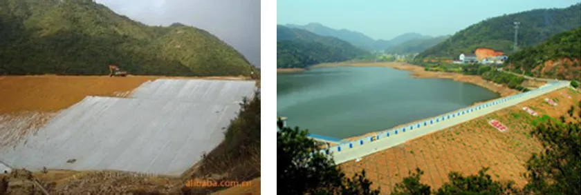 Solution of Reservoir Seepage Control System