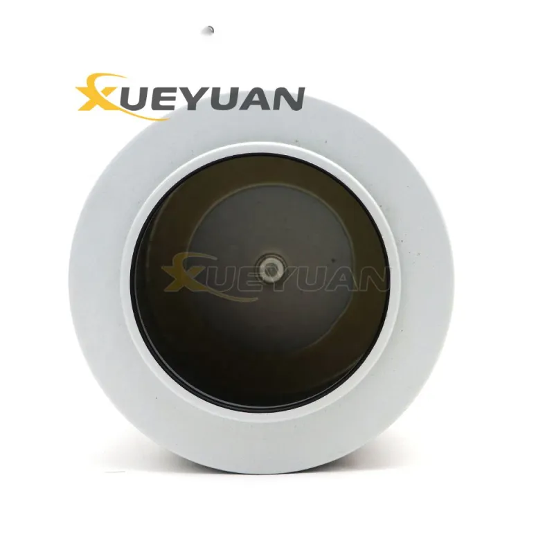 construction machinery filter element 53C0169 use for LIUGONG915/915D ...