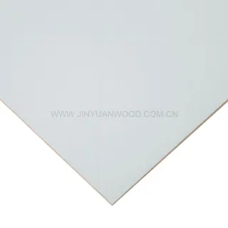 Caravan Polyester and PVC Laminated Plywood