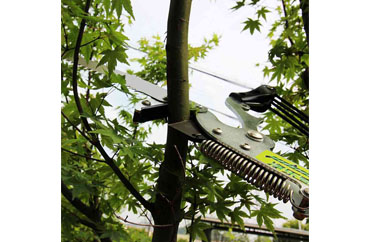 The Right Pruning Tool for the Job