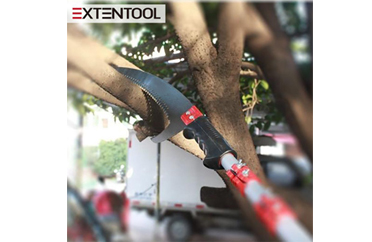 When to Use a Pole Pruner