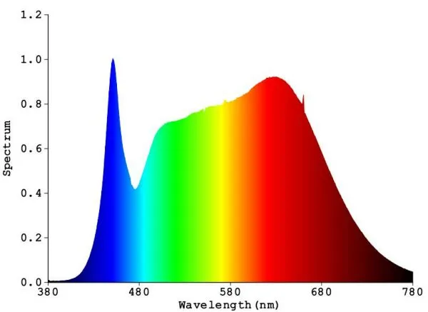 Fluorescent Full Spectrum Chart