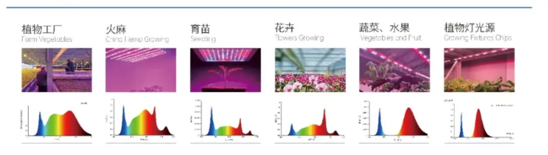 Overview of Plant Lighting Equipemnt Industry Moonleds presents you a ...