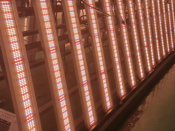 Overview of Plant Lighting Equipemnt Industry Moonleds presents you a ...