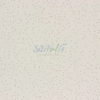 Calcium Silicate Ceiling 2