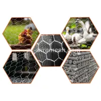 hexagonal wire netting