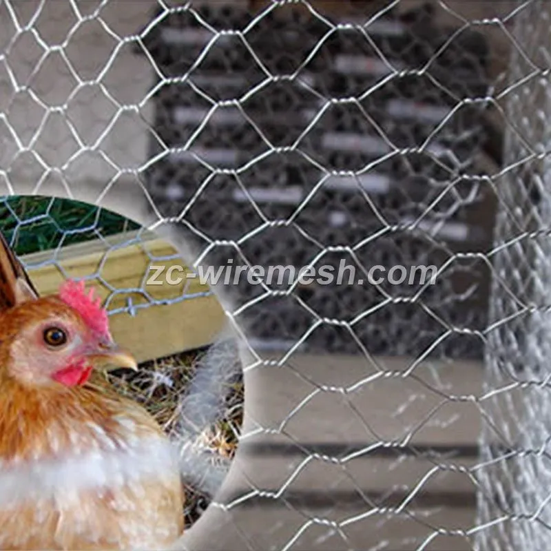 hexagonal wire netting