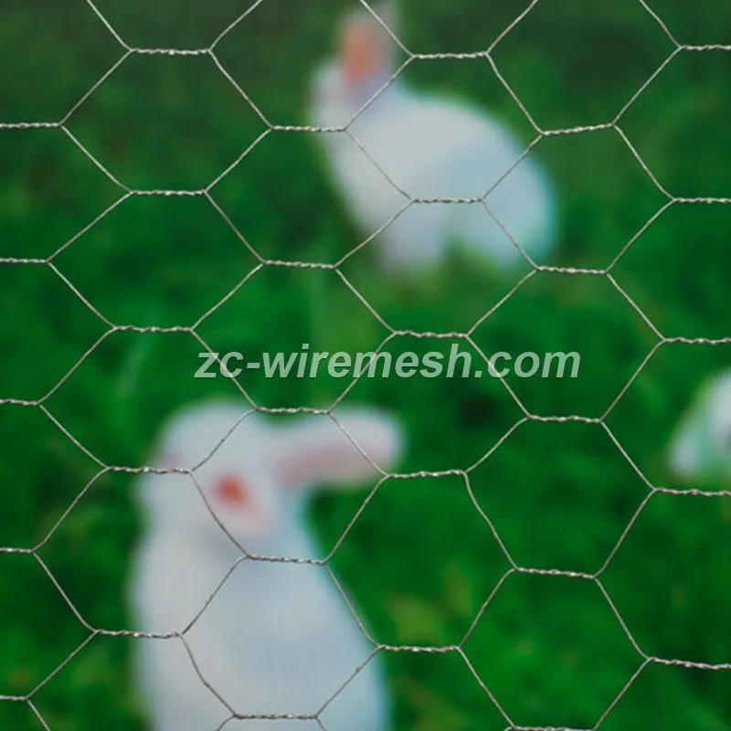 hexagonal wire netting