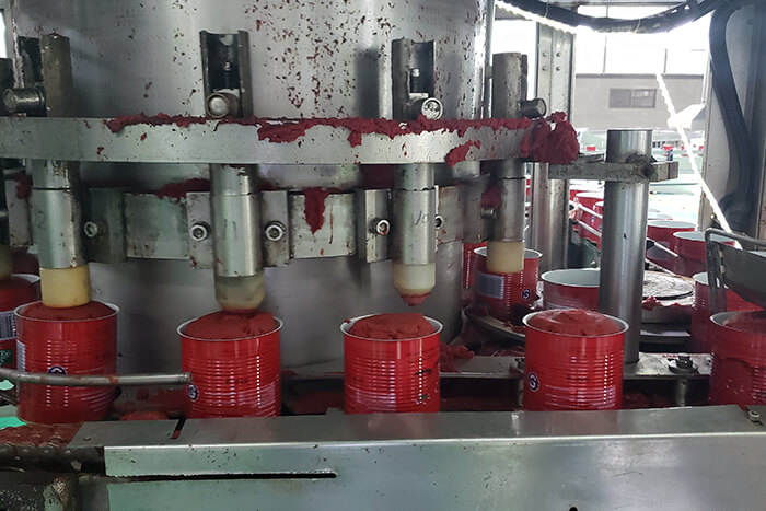 Tomato Paste Production Line