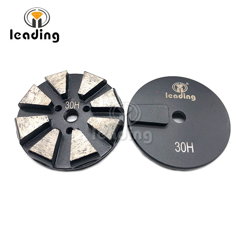 Terrco 8 Segment Beveled Edge Disc