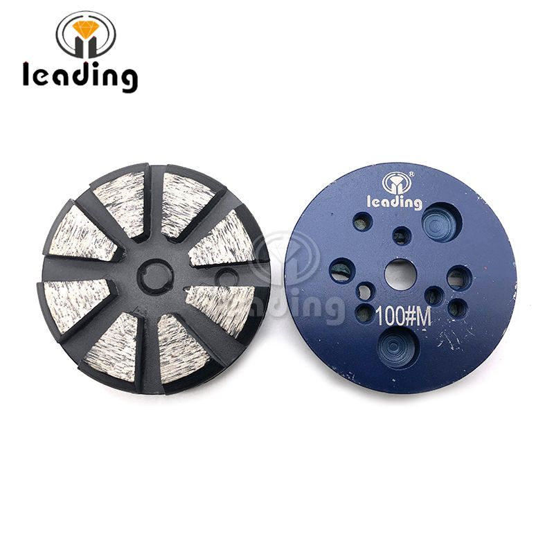 Terrco 8 Segment Beveled Edge Disc