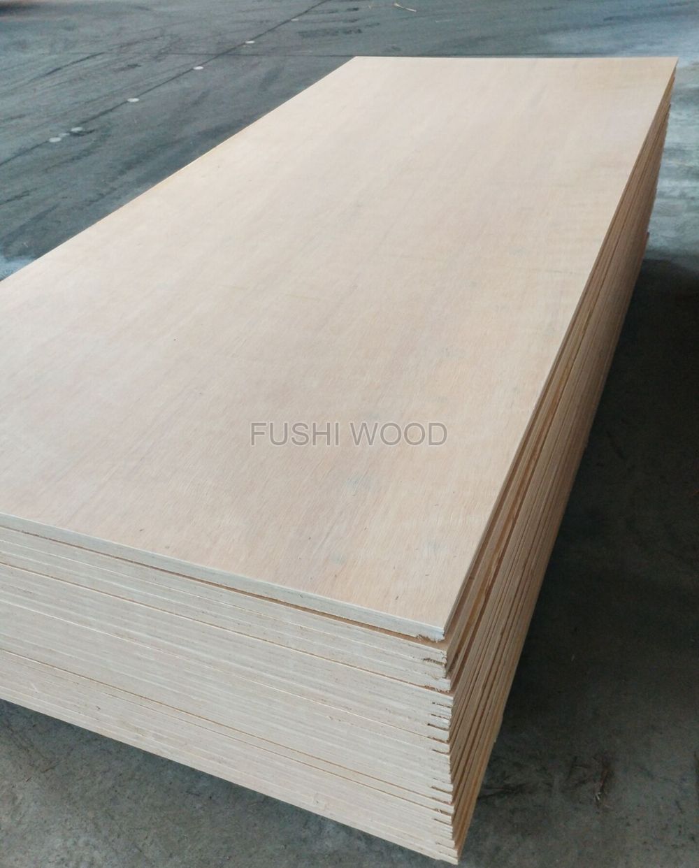 Container plywood 28mm