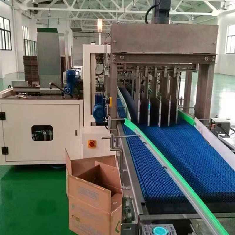 AZONE MACHINERY--Factory for Automatic drop type bottle case packing ...