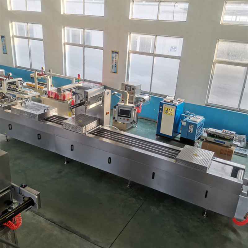 AZONE MACHINERY--Factory for Automatic vacuum stretch film form seal packing machine