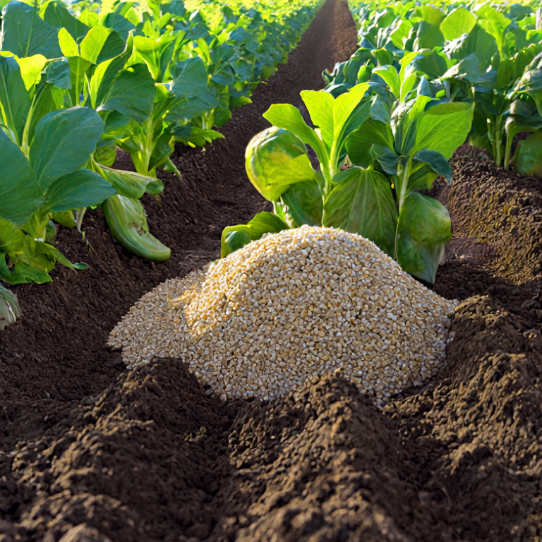 All You Need to Know About NPK Fertilizer