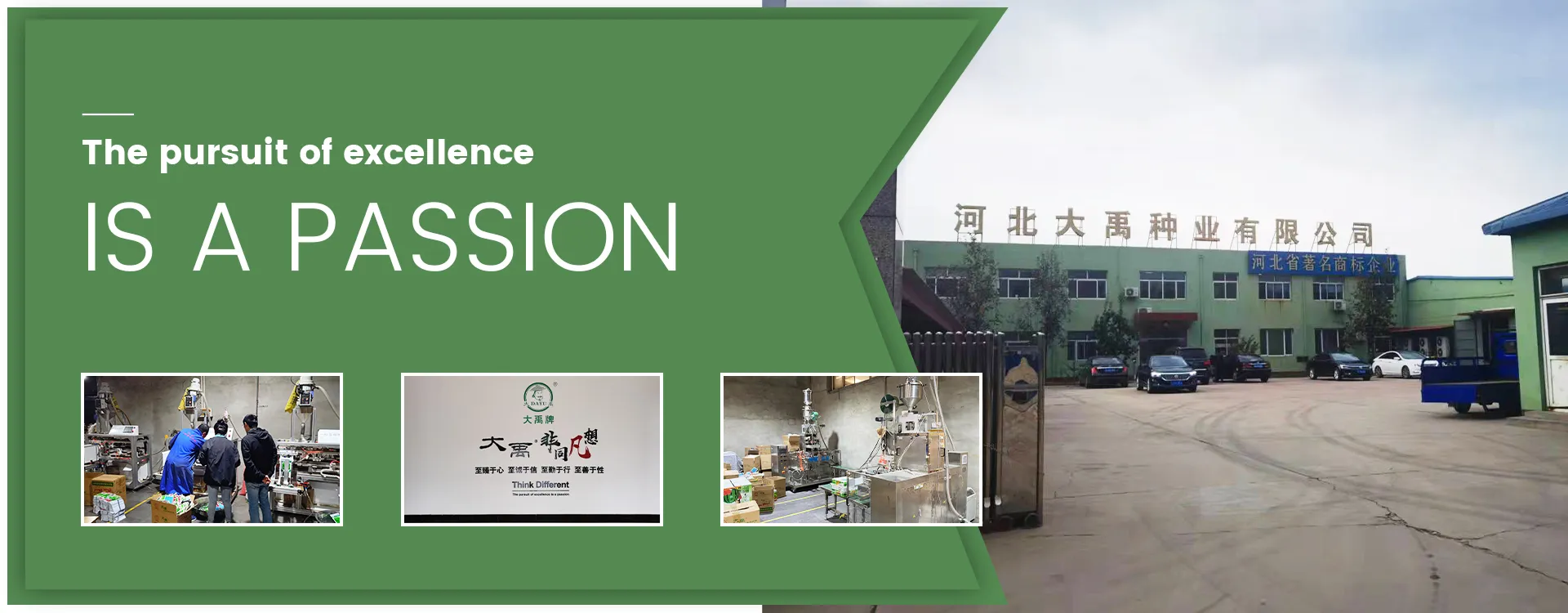 China Vegetable Seeds, Grain Seeds, Fruit Seeds - China Seeds Company ...