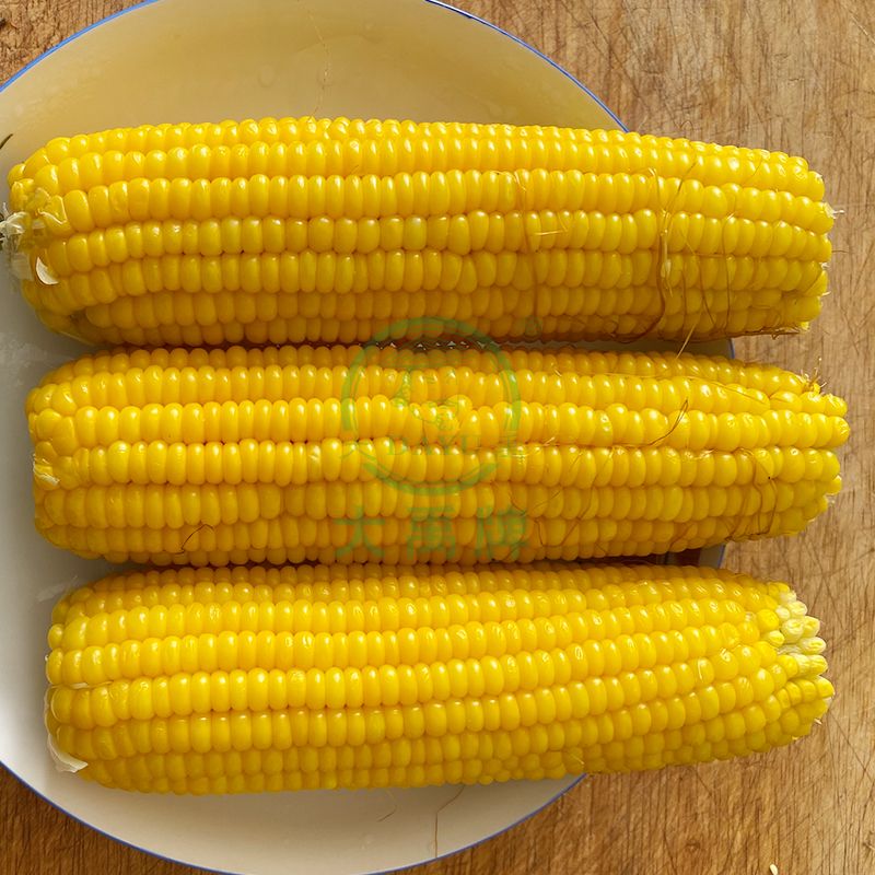 Large Corncob Pure Sweet Fruit Corn Seed Varieties - Direct supply from ...
