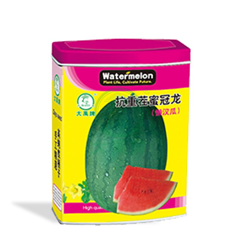 New mid-late maturing high yield watermelon