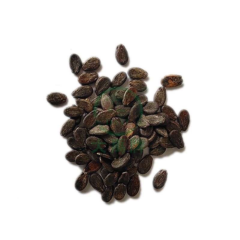 8424 Watermelon Seeds,Fast-Growing Watermelon Seeds
