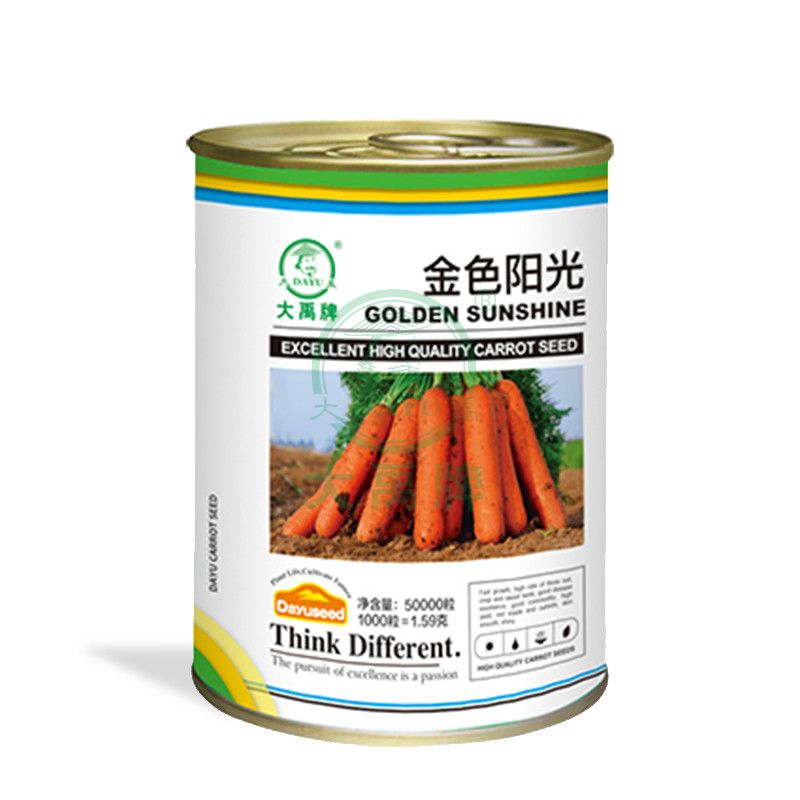 Crisp and sweet golden sunshine carrot