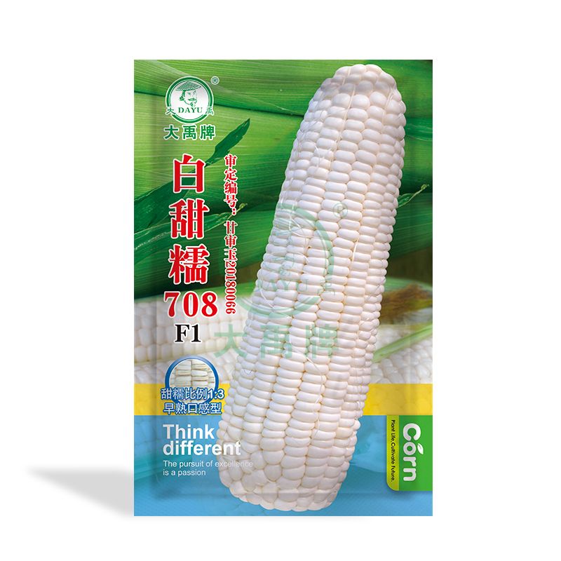 White Sweet Waxy Fresh Corn Seed Varieties - Direct Supply From Suppliers