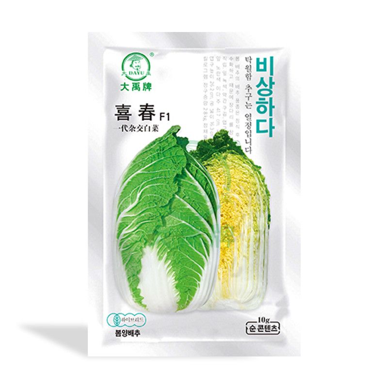 Semi erect spring Chinese cabbage