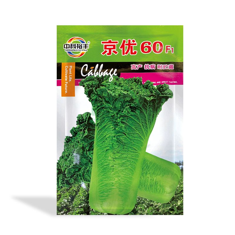 Straight green hemp leaves early maturing cabbage