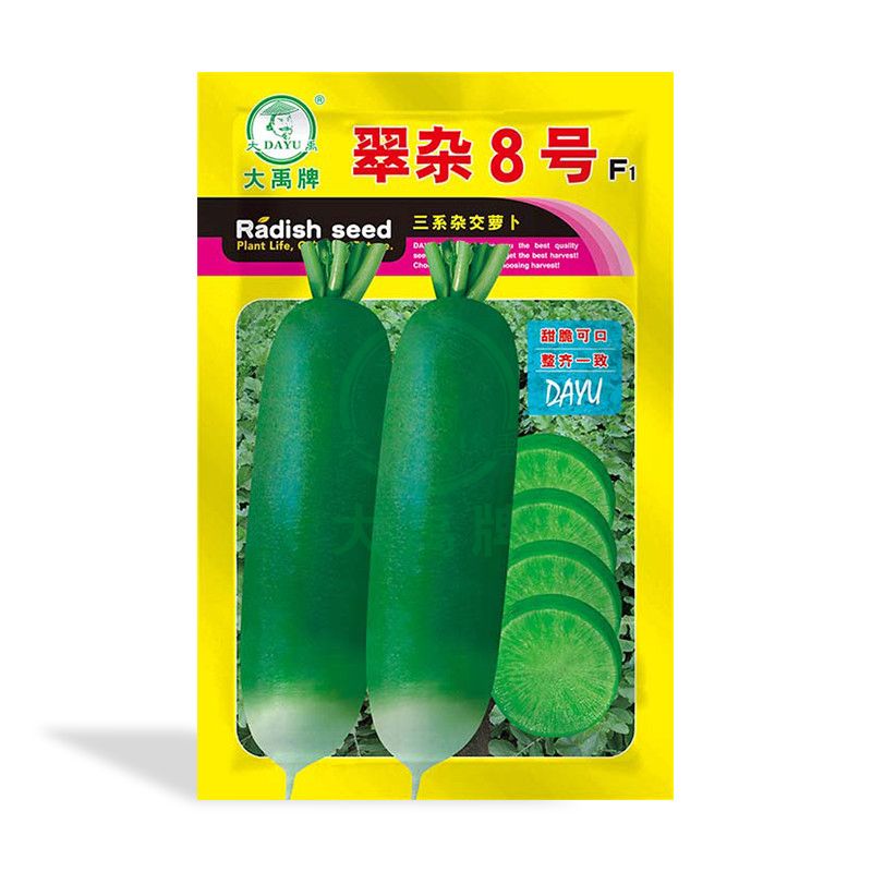 Erect Plant Type Green Radish Varieties - Bulk Radish Seeds