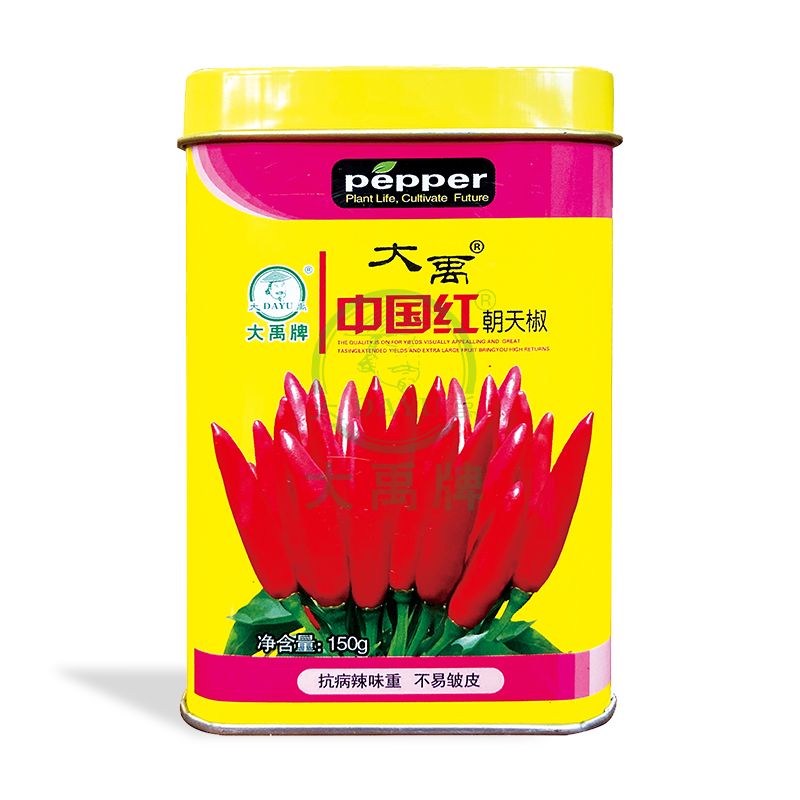 large strong spicy taste red cluster pepper