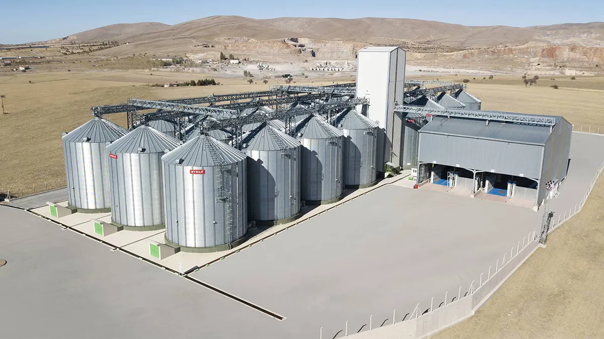 Grain Silo Ozonization, Ozone Generator for Grain Storage(Pest control)