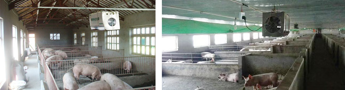 Ozone Generator for Poultry