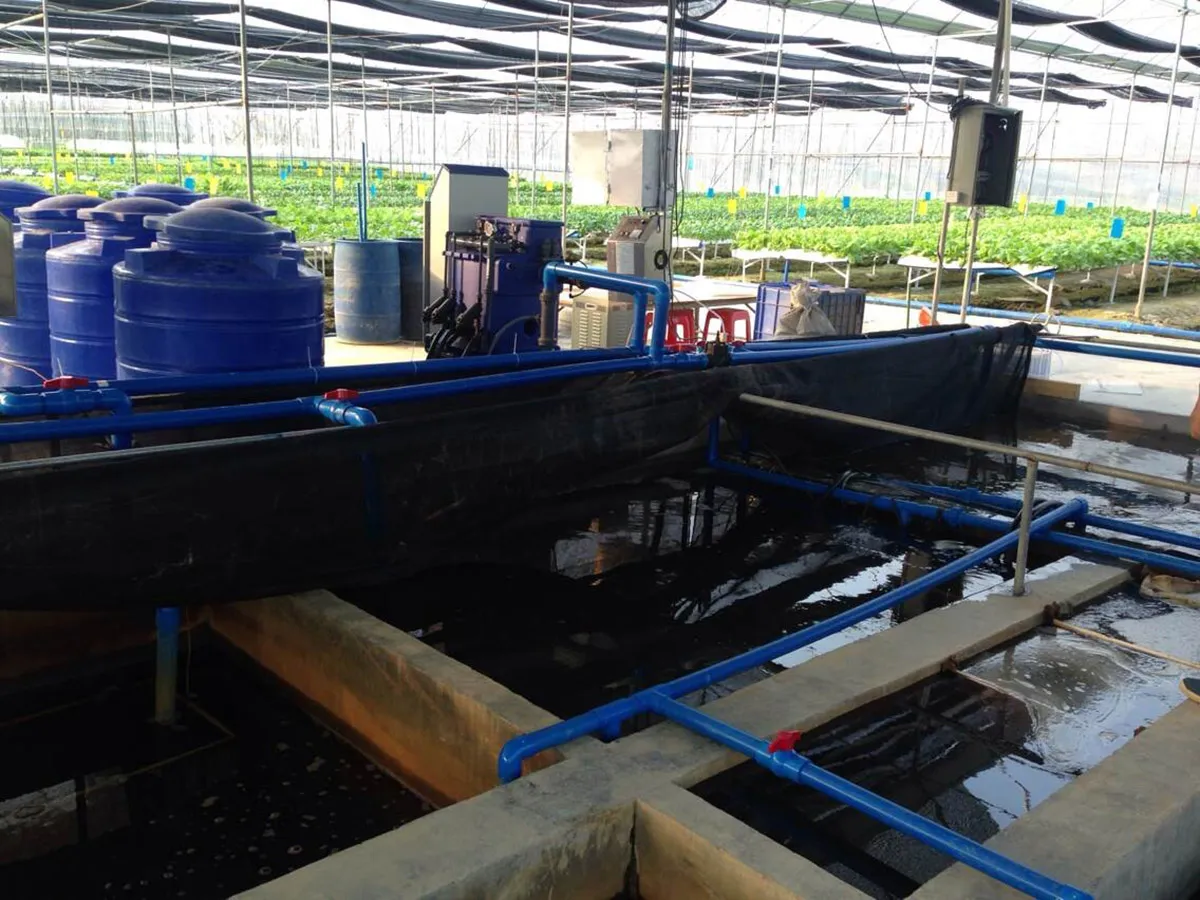 Ozonator for Hydroponics