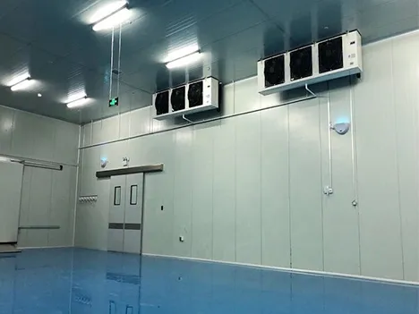 Ozone Generator for Cold Room