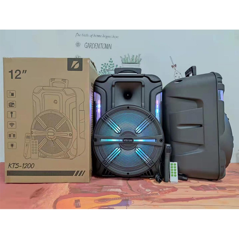 12 Inch Wireless Portable Speaker