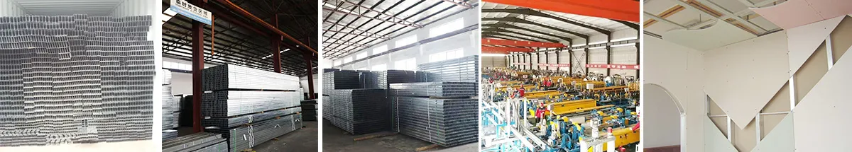 Omega Ceiling System